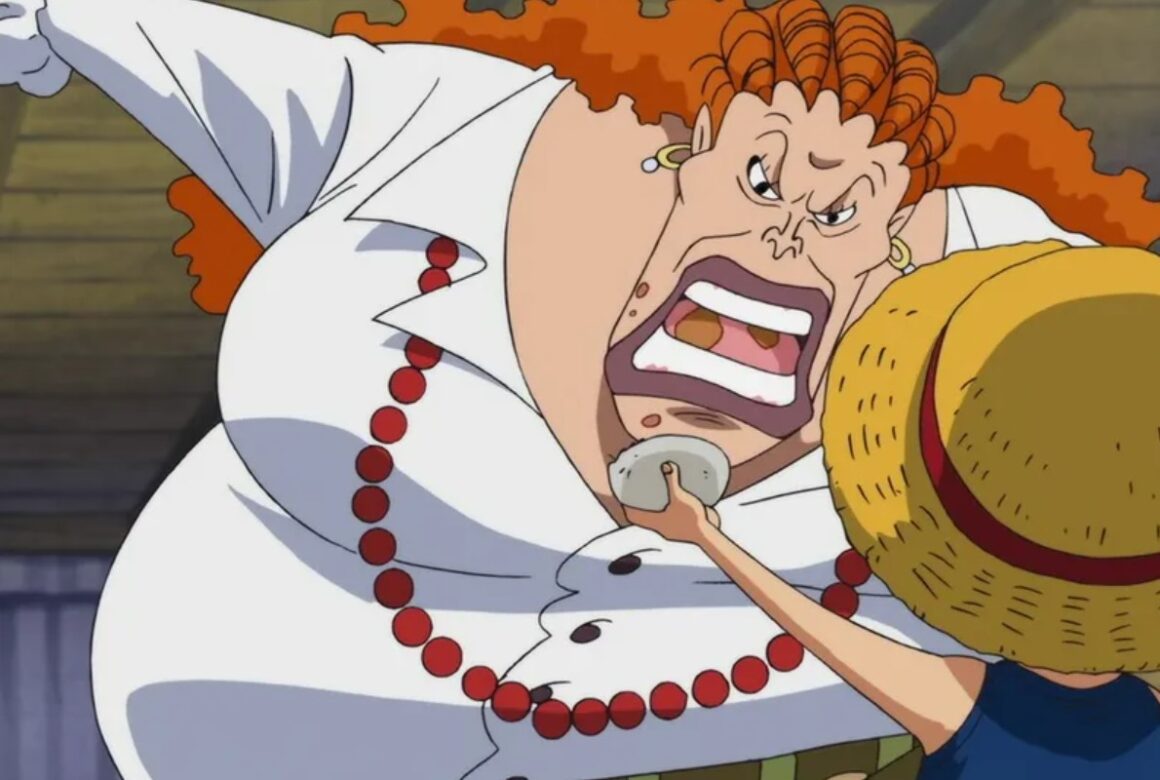 Who Are Luffy’s Mom And Dad? [Everything About Them] - Birds of Neptune