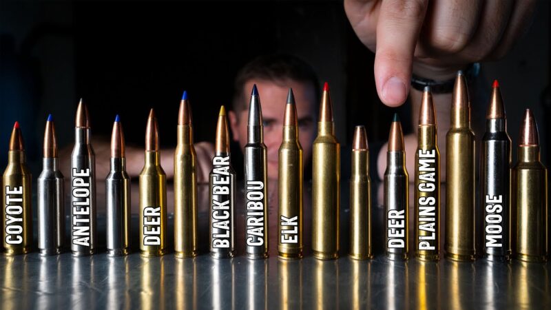 What's the Difference Between Target and Hunting Ammo? - Birds of Neptune